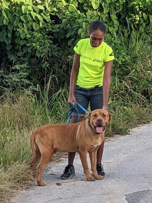 Kingsley - Ocean Acres Animal Sanctuary